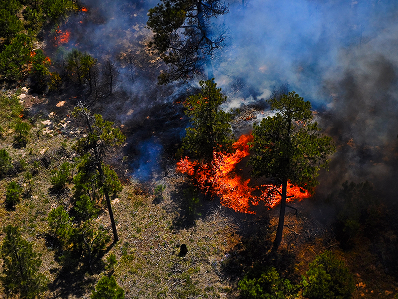 altigator-drone-uav-firefighting-emergency-service-fire-department ...
